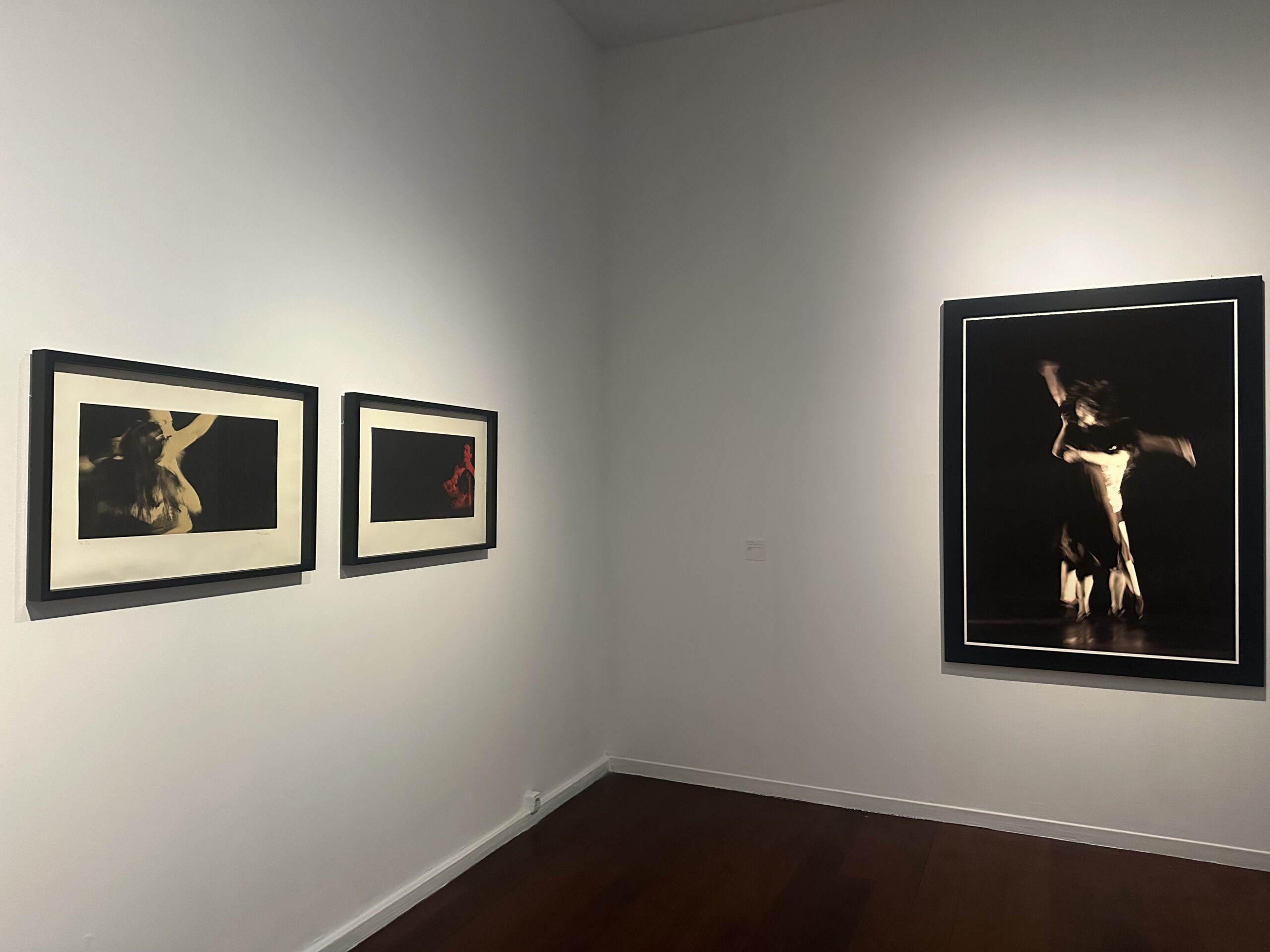 ‘El presente infinito’ reúne obras de Fabiola Ubani en La Laguna – Periodismo ULL